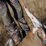 How to Field Dress a Deer in 10 Minutes (Quick & Easy)