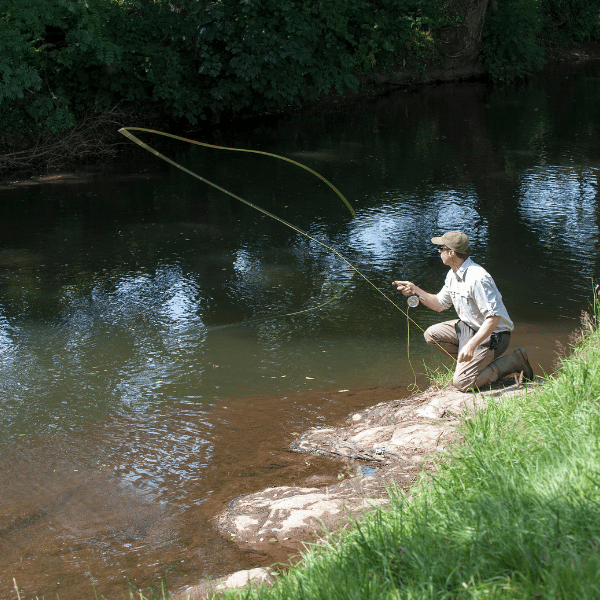 How to Cast a Fly Rod for Beginners (2022 Fly Casting Guide)